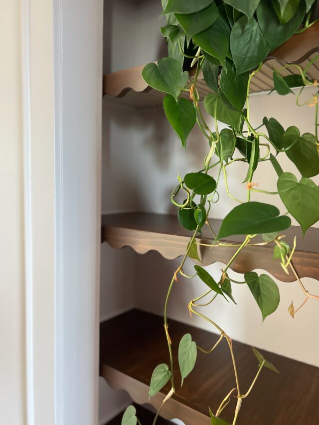 Easy DIY Wire Shelf Covers (Step-by-Step Tutorial) | Our Aesthetic Abode