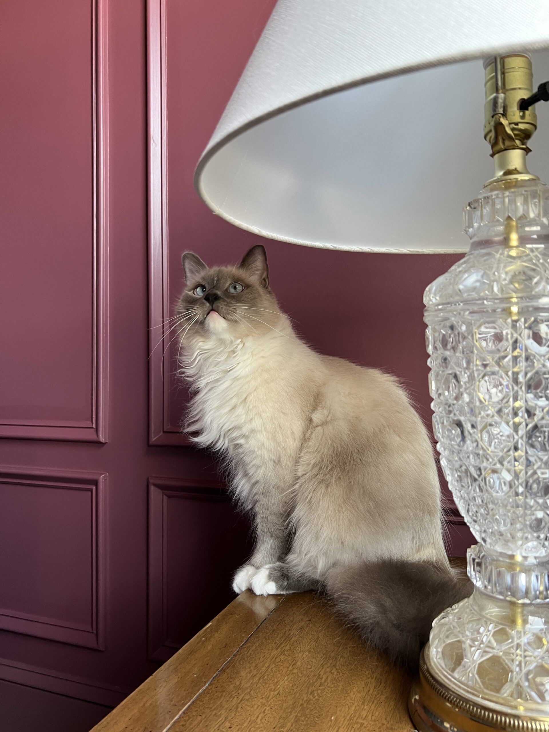 7 Easy DIY Wall Trim Ideas and How to Install Moulding | Our Aesthetic Abode